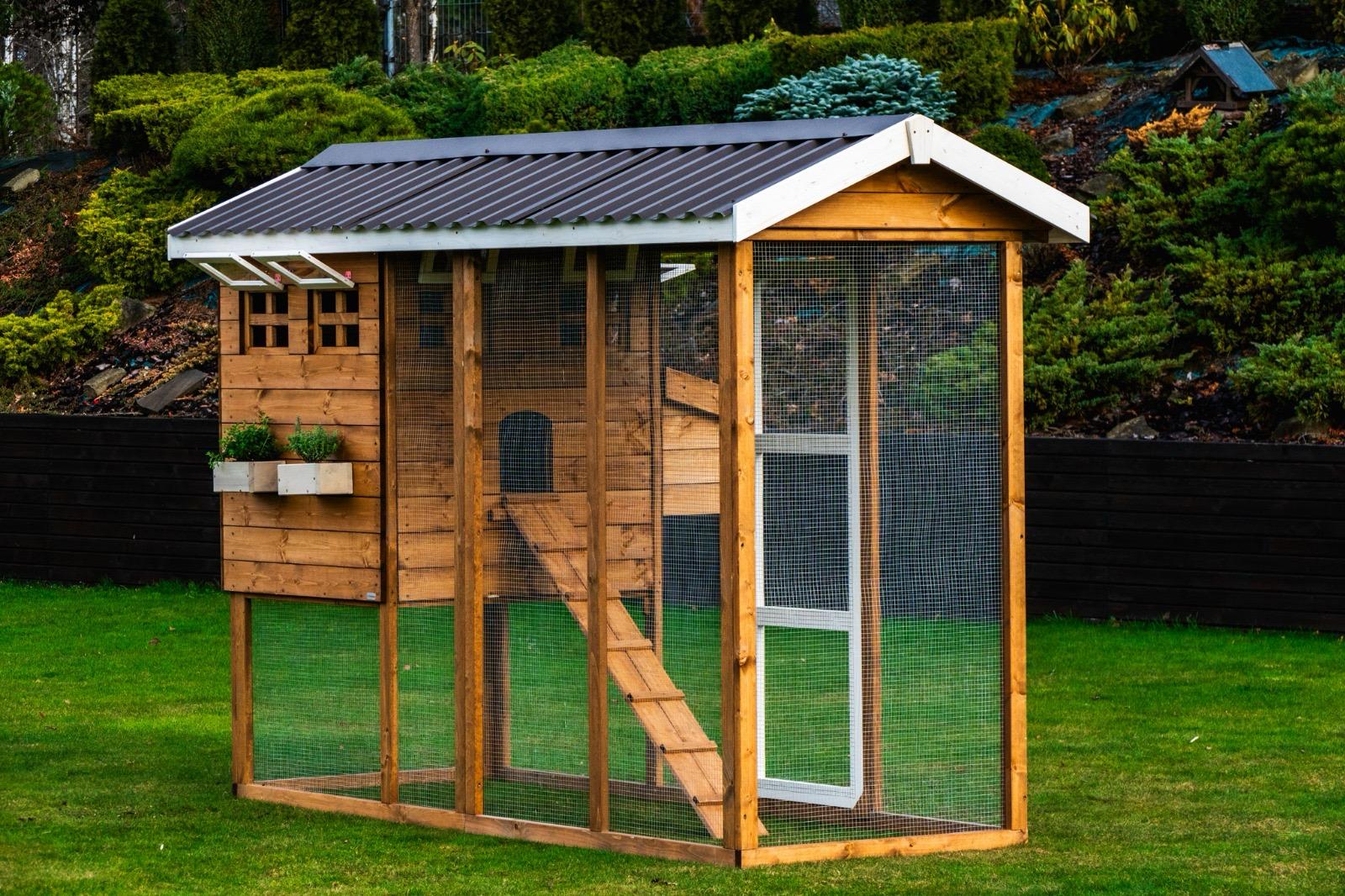 Kurniki dla Kur Niosek | Na 5, 10, 20 Kur | Przydomowe | Drewniane ...